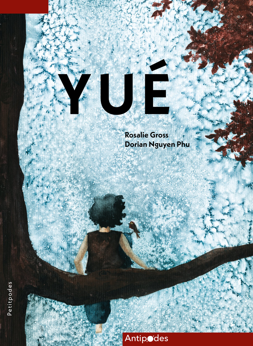 Dorian Nguyen Phu - vidéaste, auteur